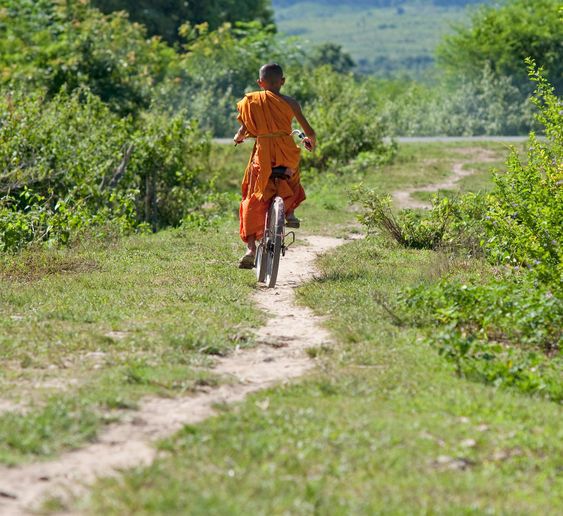 "Buddhist monk on bicycle" by Digitalpress - Mostphotos