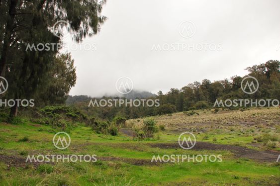 "Climbing the volcano Semeru..." by Radoslaw Kozik - Mostphotos