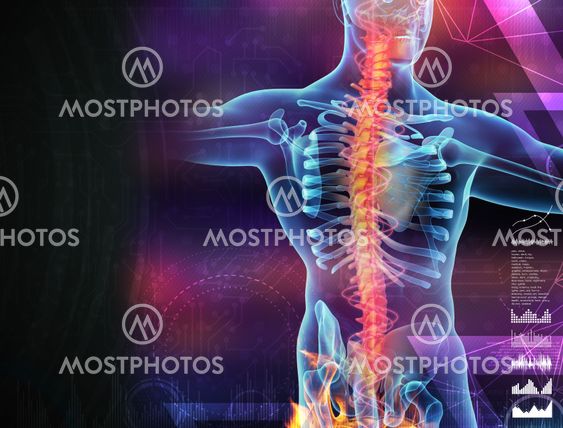 "Skeleton of the man with th..." av User_54848 - Mostphotos