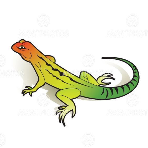 Chameleon Lizard Cartoon Clipart