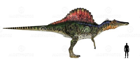 Spinosaurus Size