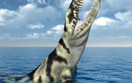 Dakosaurus Size The Paleo Collector | 2023 Mattel Jurassic World Dino