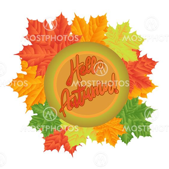 "Autumn Leaves on a white ba..." av User_78515 - Mostphotos