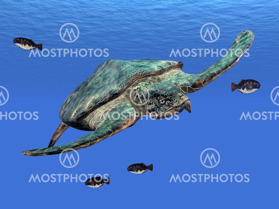 Giant Sea Turtle Prehistoric Yowie Lost Kingdom Series B #21