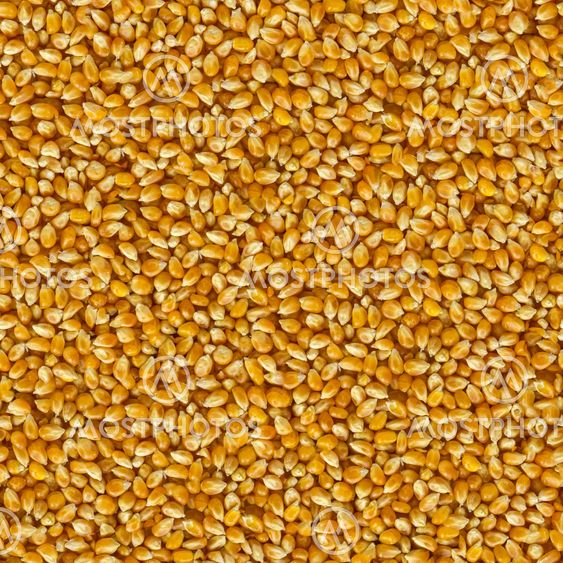 "Seamless Tileable Texture o..." fra tashatuvango - Mostphotos