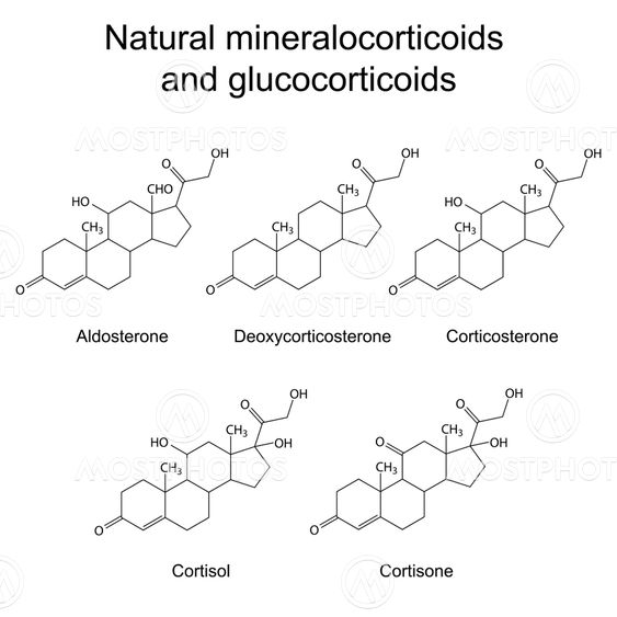"Chemical structures of cor..." av Anton Lebedev - Mostphotos