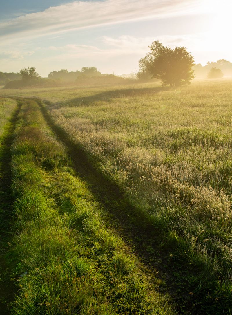 Vackra sommarbilder online - Mostphotos