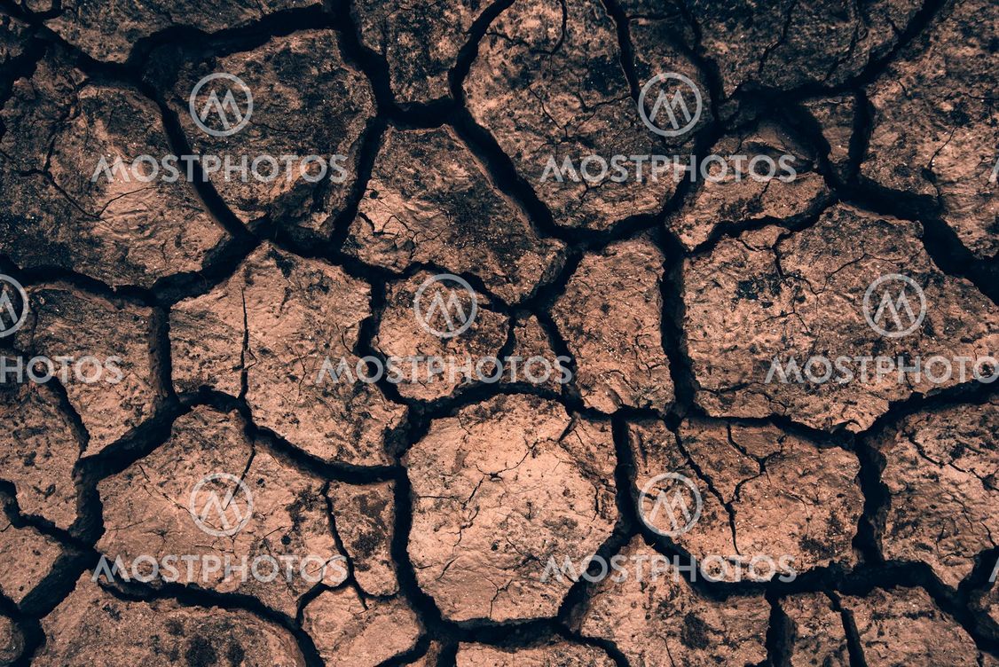 "Cracked mud texture top view" by Igor Stevanovic - Mostphotos