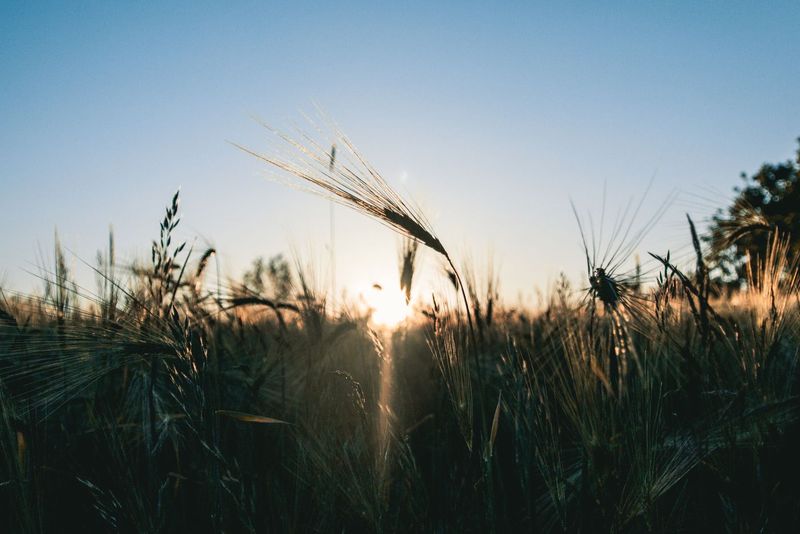 Vackra sommarbilder online - Mostphotos