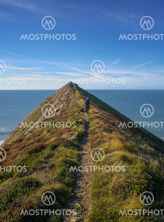 "HIGHER SHARPNOSE POINT CORN..." by Richard Brookes - Mostphotos