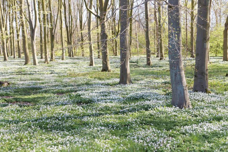 Vårbilder i mängder hos oss - Mostphotos