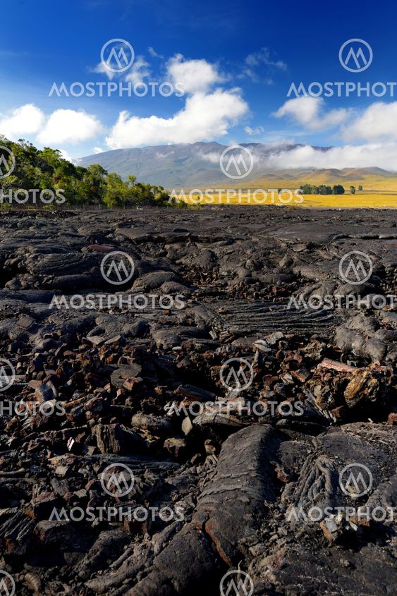 "Rough surface of frozen lav..." fra mnstudio - Mostphotos