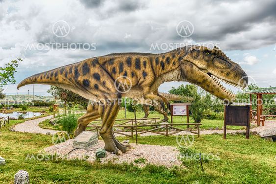 "Carcharodontosaurus dinosau..." fra Marco Rubino - Mostphotos
