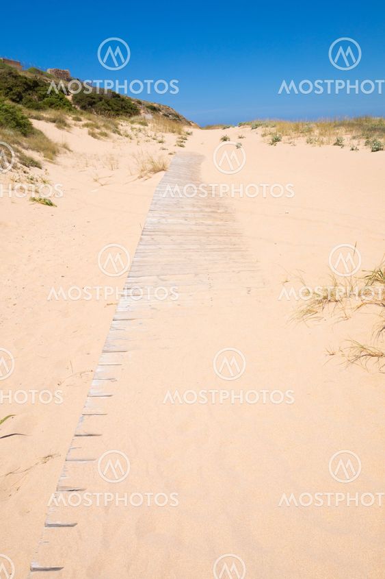 "wooden pathway covered on s..." av Quintanilla - Mostphotos
