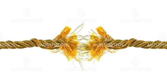 Golden ropes | LitLatte