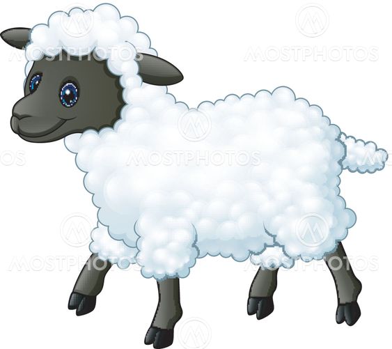 Cute Sheep Animation