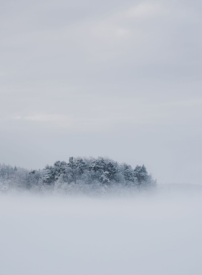 Vackra vinterbilder online - Mostphotos