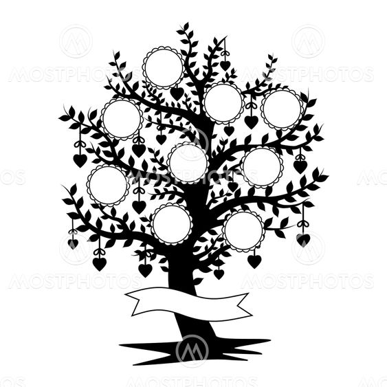 "Family Tree template, Color..." by LesinkaVector - Mostphotos