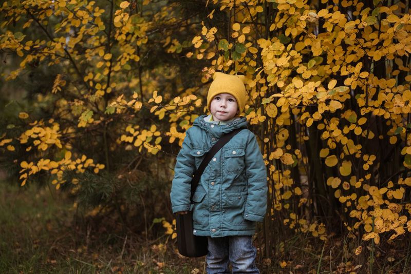 Fina skogsbilder online - Mostphotos
