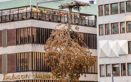 "Medicin Citodon" fra Gamma-Man - Mostphotos