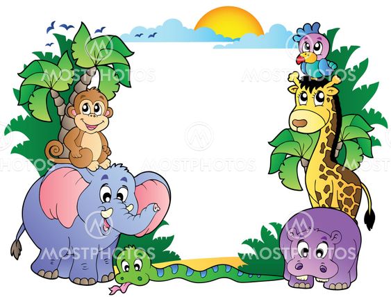 African Animal Border Photos From The Front Lines Of The Battle To