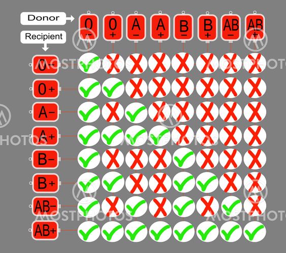 "Blood type: red blood cell..." by hydraviridis - Mostphotos