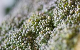 "The twin Towers of the Petr..." fra Tony Bozzard - Mostphotos