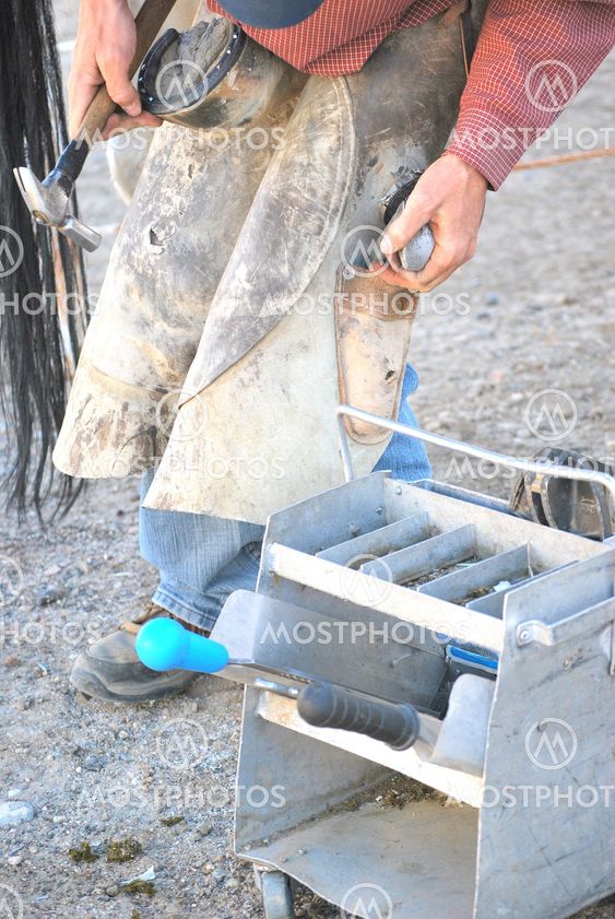 "Male farrier working." av oscar williams - Mostphotos