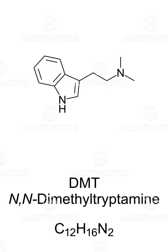 "DMT, Dimethyltryptamine, sk..." av Peter Hermes Furian - Mostphotos