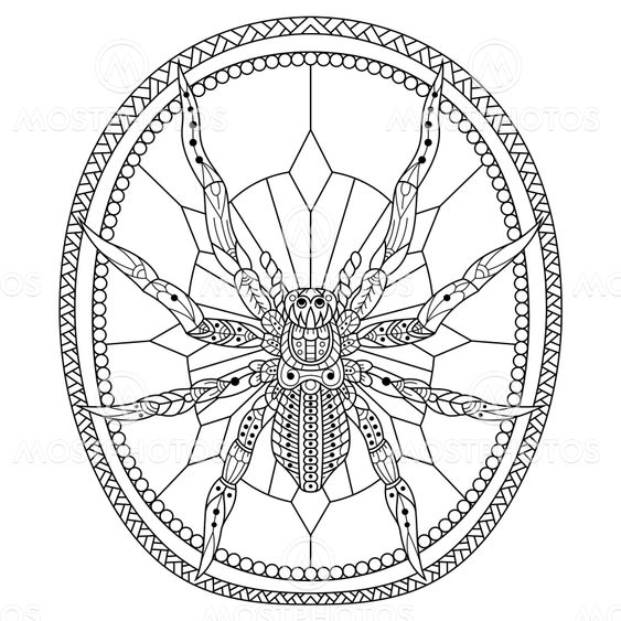 "Hand drawn of spider in zen..." by nanang kasiman - Mostphotos