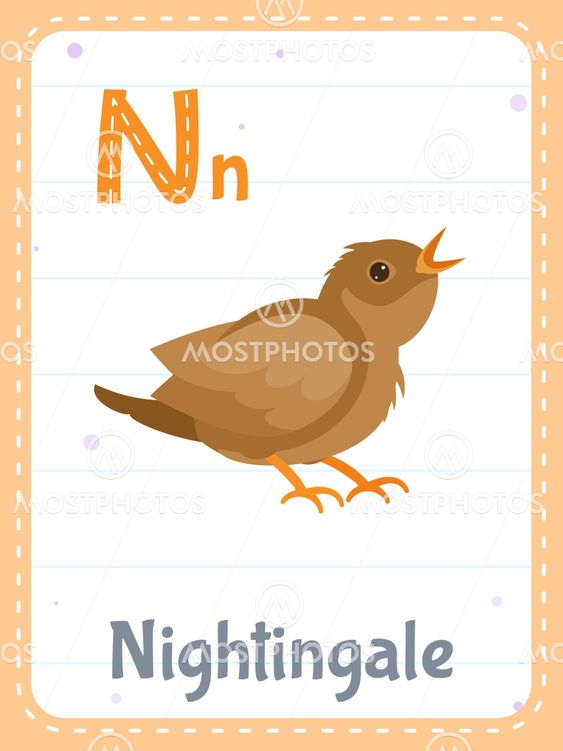 "Alphabet printable flashcar..." by redgreystock - Mostphotos