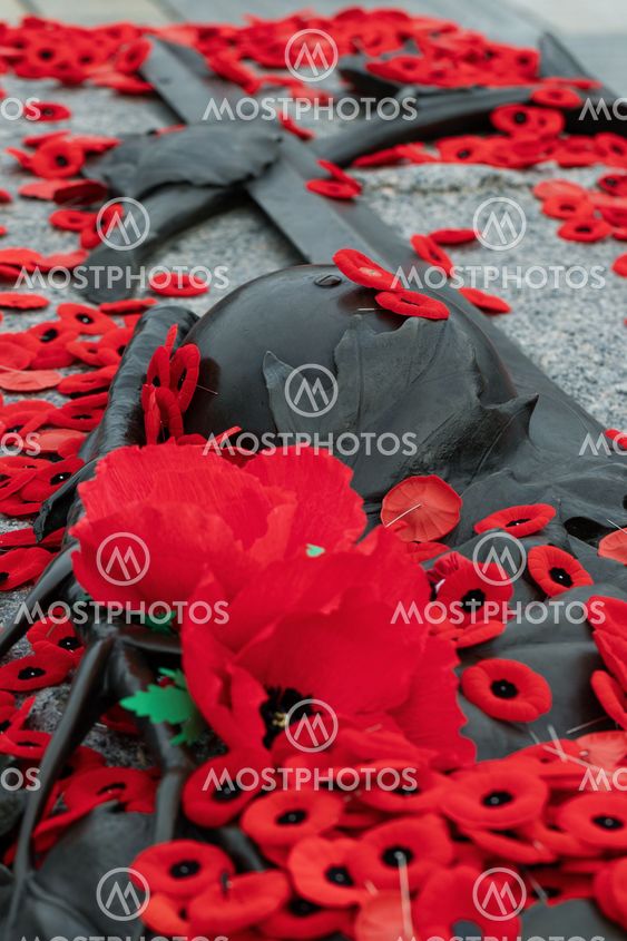 "Remembrance Day red poppy f..." by Iryna Tolmachova - Mostphotos