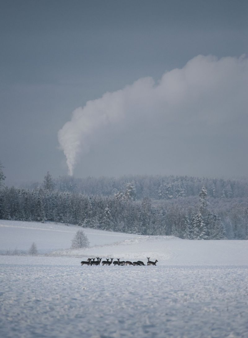 Vackra vinterbilder online - Mostphotos