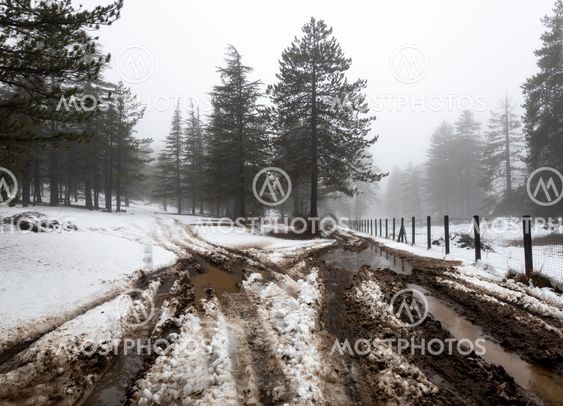 "4X4 car track traces in mud..." by Michalis Palis - Mostphotos